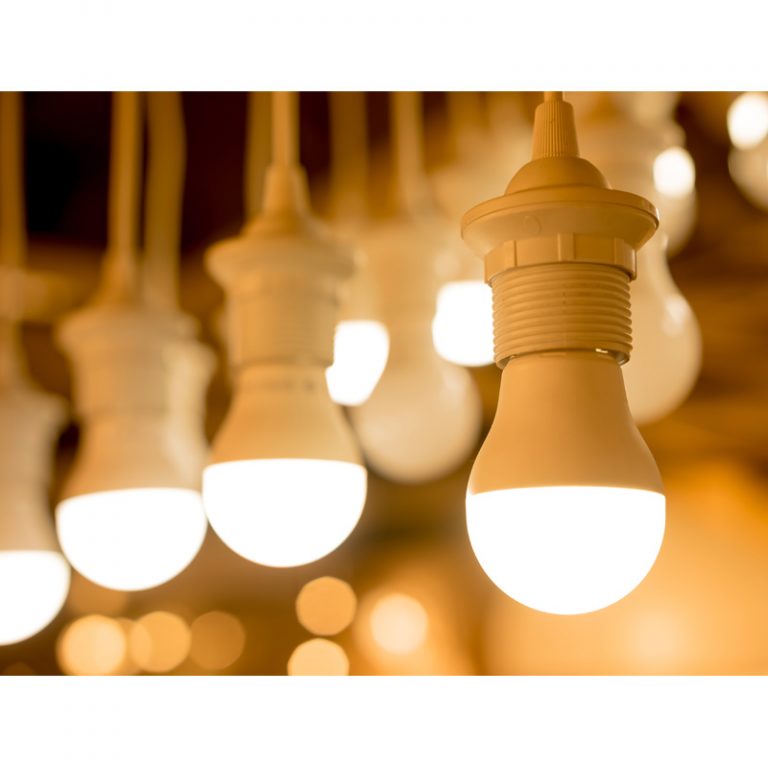 Light bulbs – Jessar